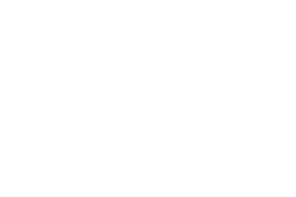 The Top 10 Agave Species and Their Unique Uses